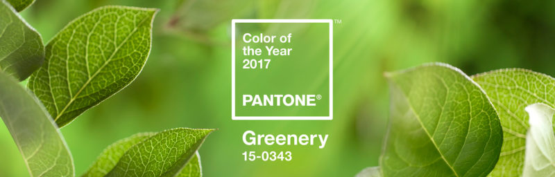 color of the year 2017: a fresh start